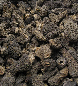 DVD | Montana Mushrooms